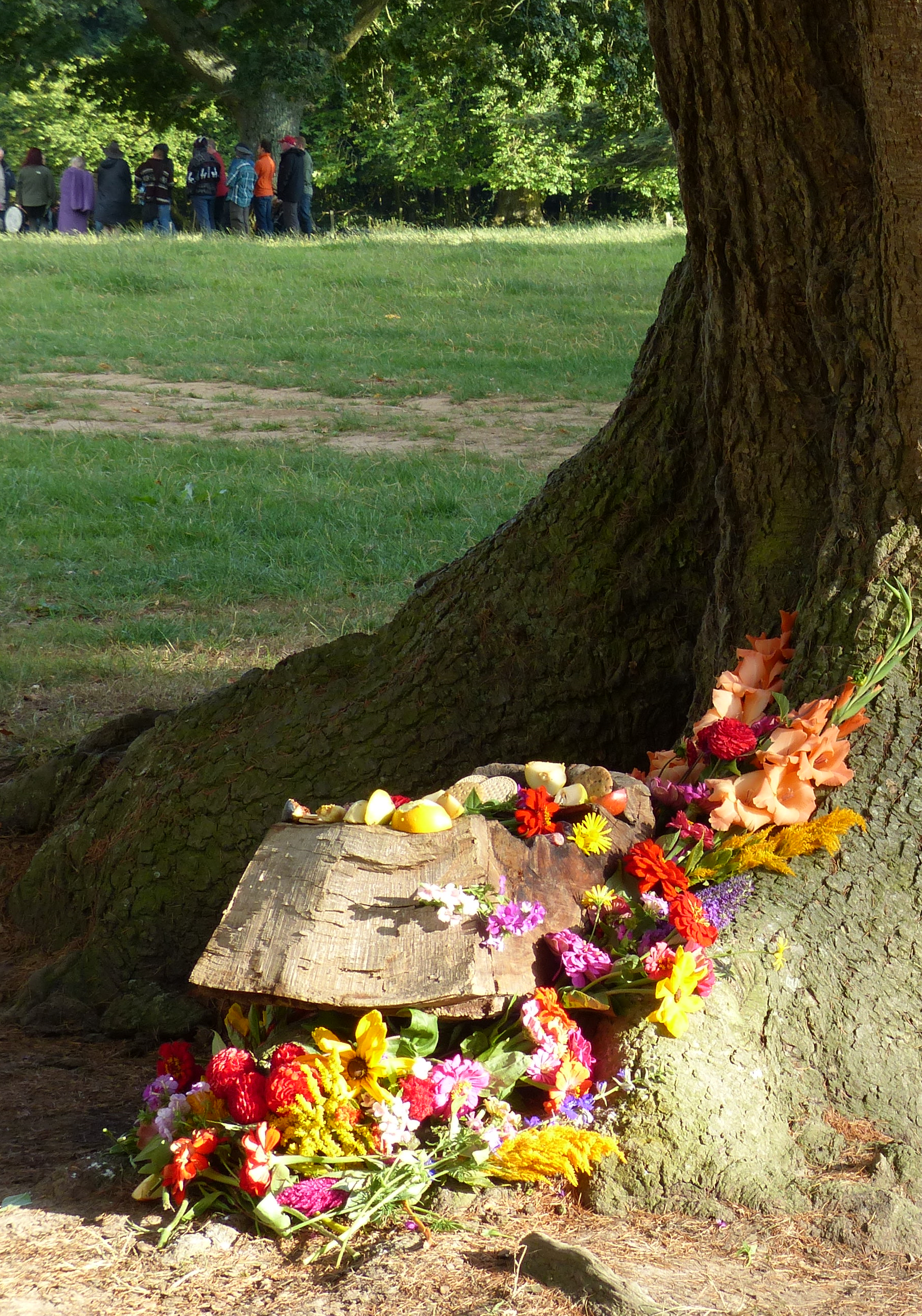 Shamaanikukat puun juurella – Liinanblogi